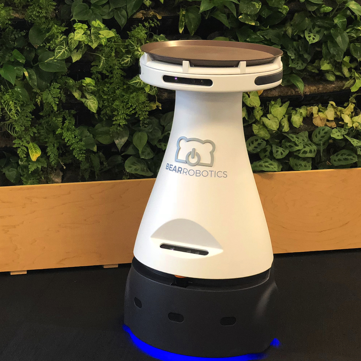 Brennand Pierce – Brennnad Pierce Portfolio